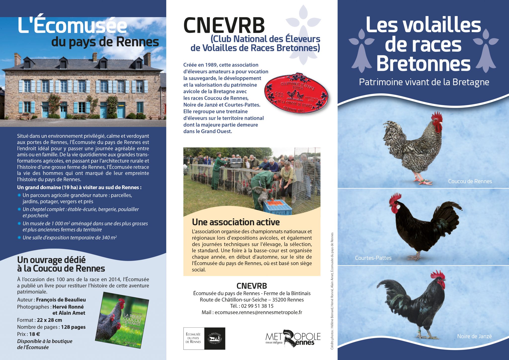 Club National des Éleveurs de Volailles de Races Bretonnes (CNEVRB ...