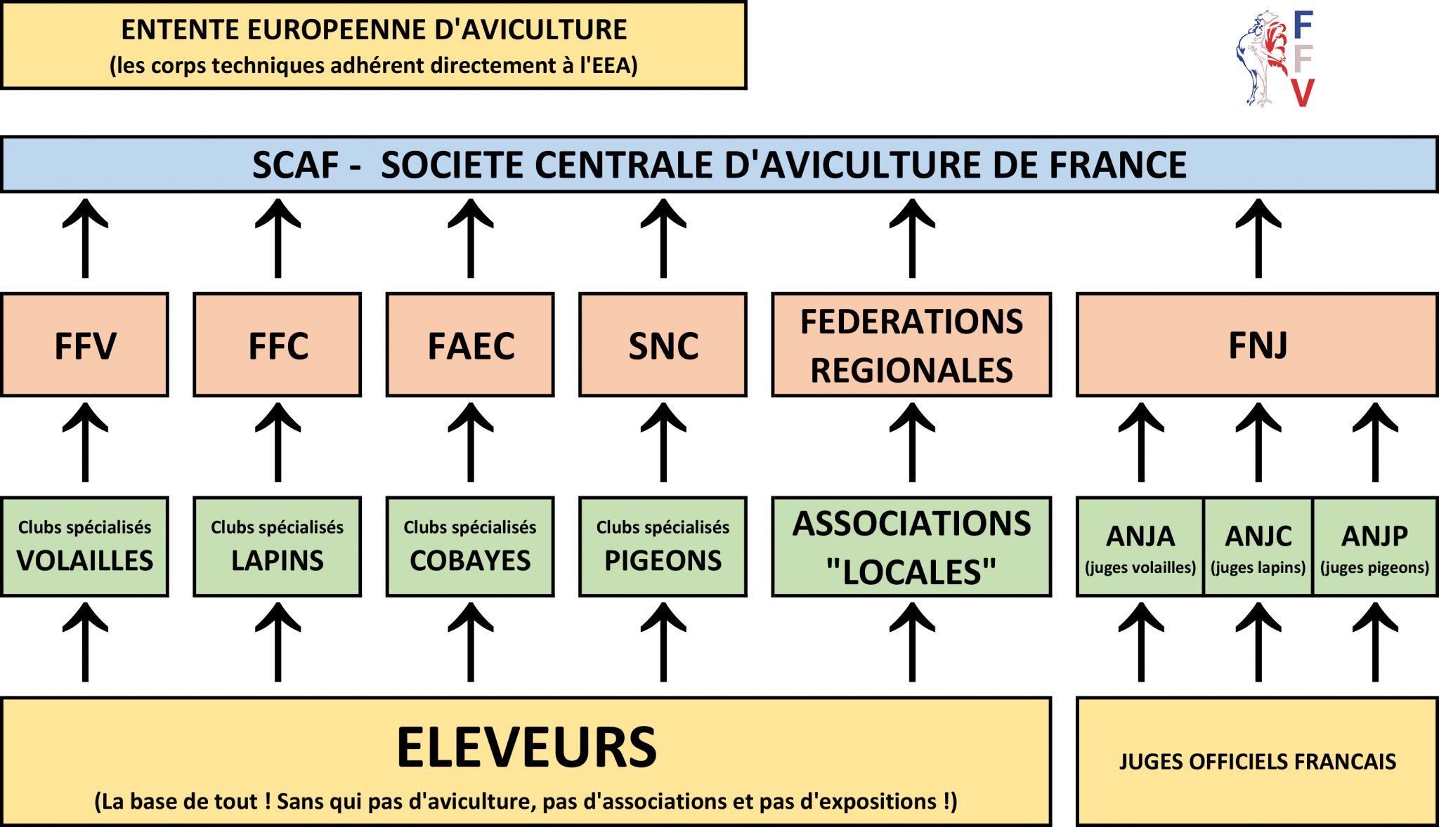 L'organisation de l'aviculture (France et Europe) - FFV - Fédération ...