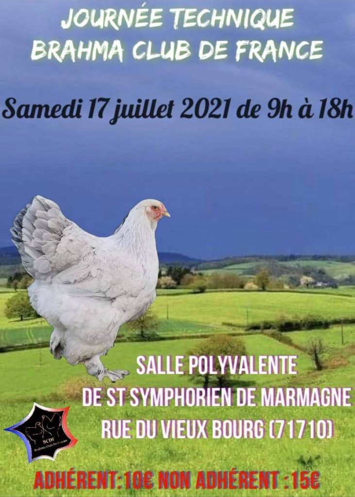 Brahma Club de France (BCDF) – FFV – Fédération Française des Volailles